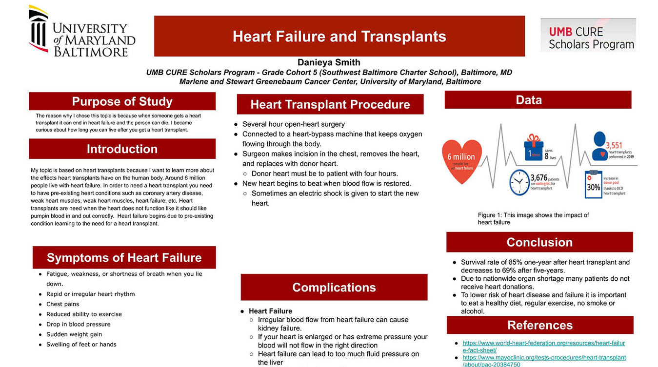 2020 STEM Expo - UMB CURE Scholars Program