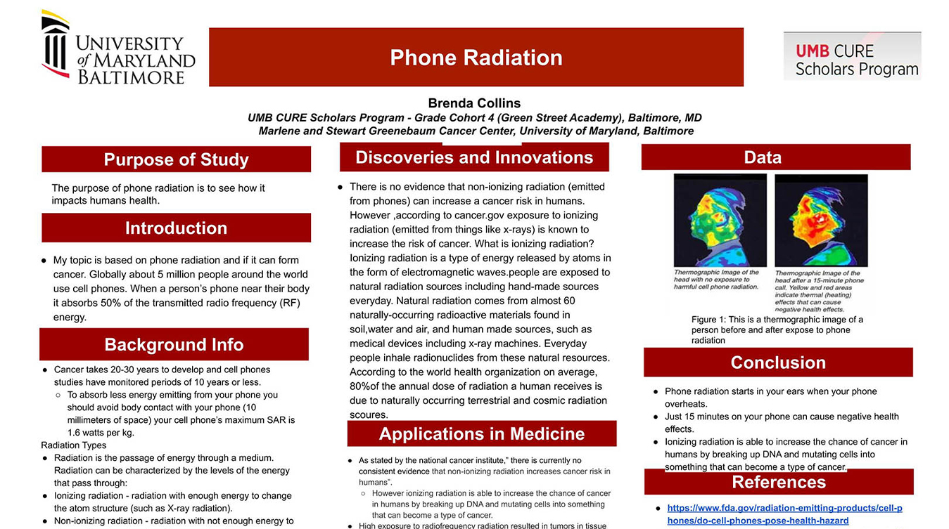 2020 STEM Expo - UMB CURE Scholars Program