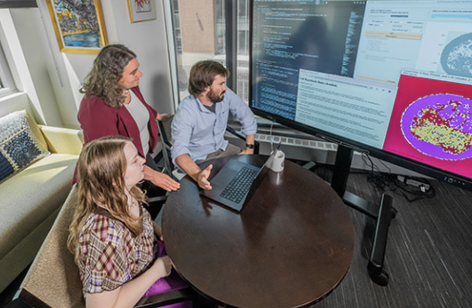 New Research Simulates Cancer Cell Behavior - News